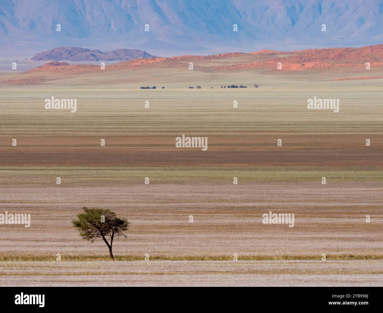 Open plains hi-res stock photography and images - Alamy