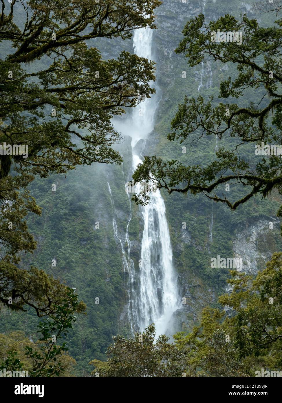 Milford track waterfalls hi-res stock photography and images - Alamy