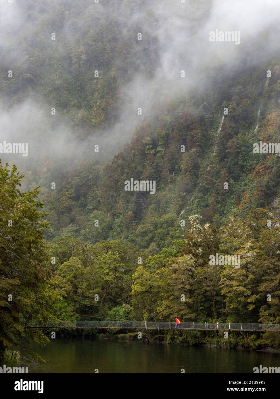 Hiker crosses the Clinton River bridge in the morning fog along the ...