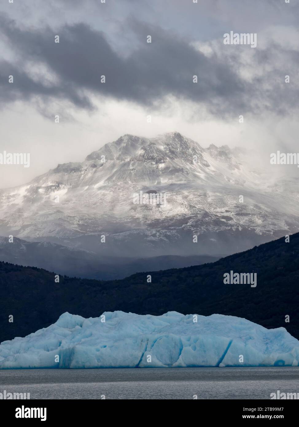 Icebergs off Grey Glacier that comes down from the southern Patagonian ...