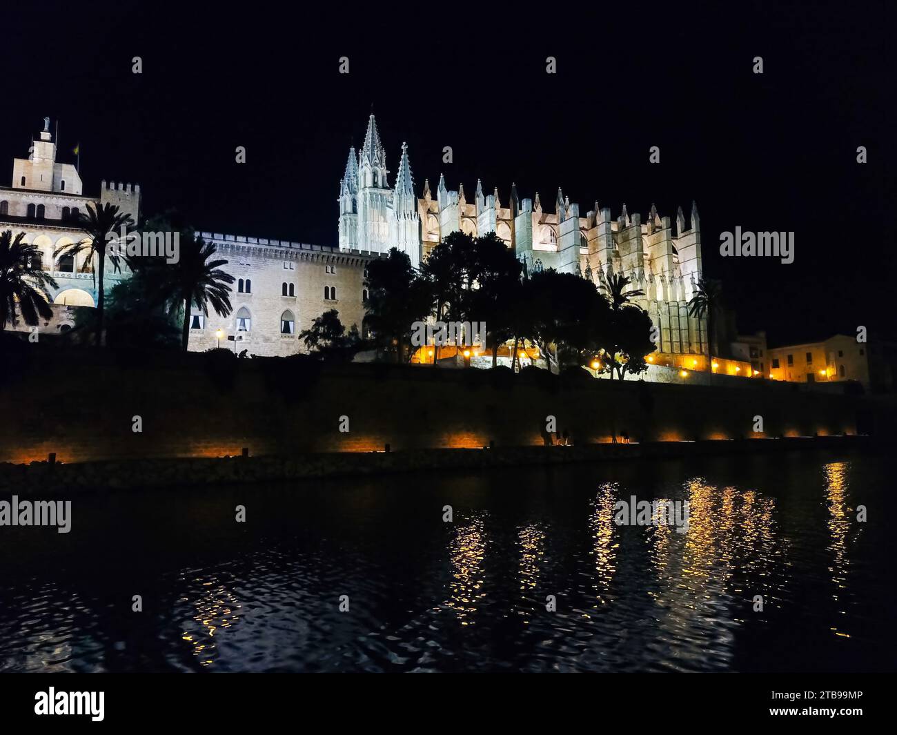 Aerial view of Royal Palace of La Almudaina in Mallorca Island at night ...