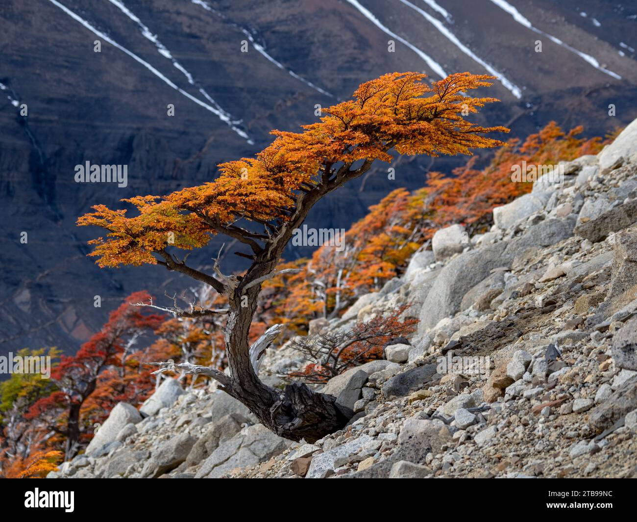 Views along the hiking trail to Mirador de Las Torres with peak fall ...