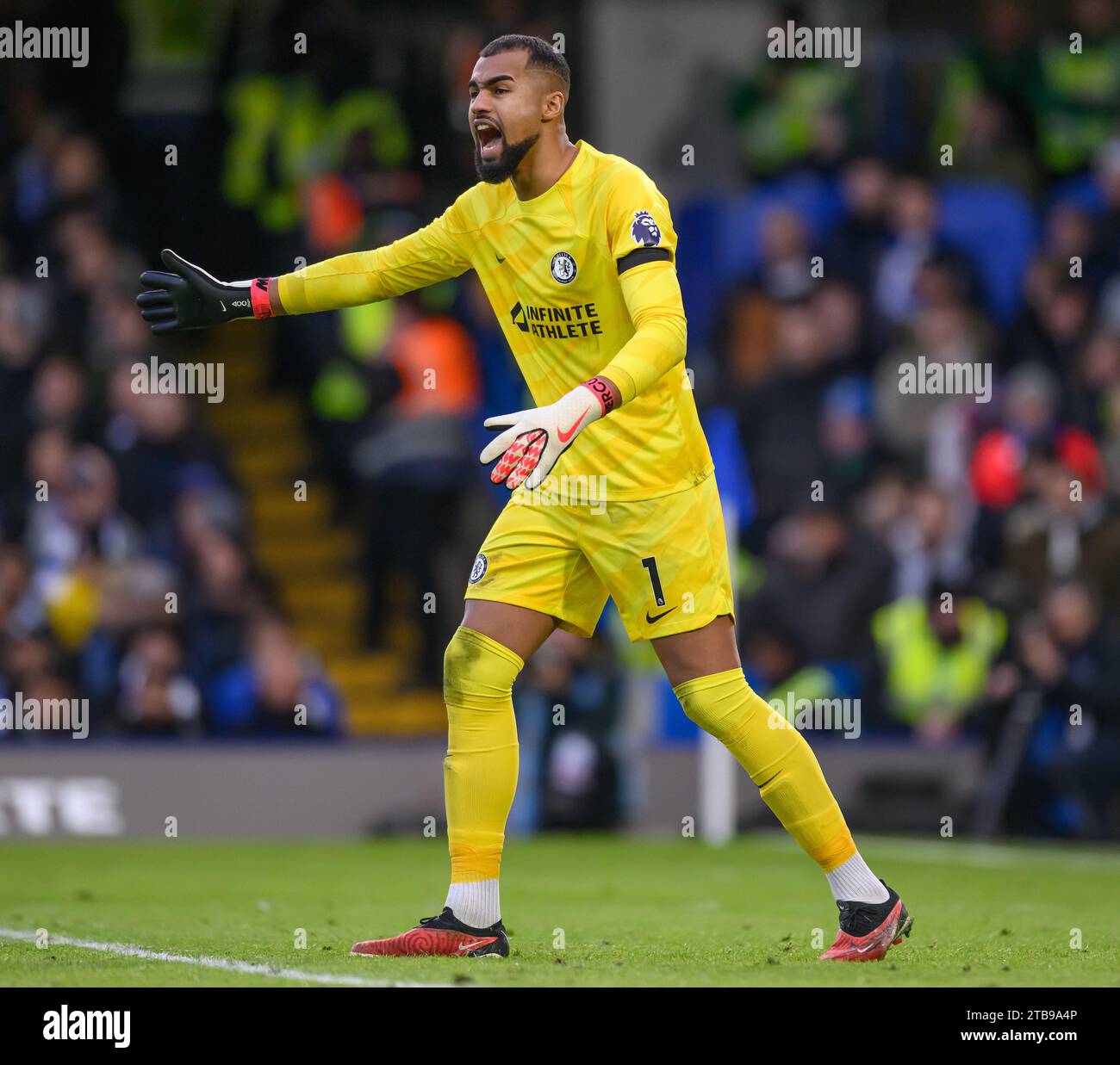 Robert sanchez of brighton hi-res stock photography and images - Alamy