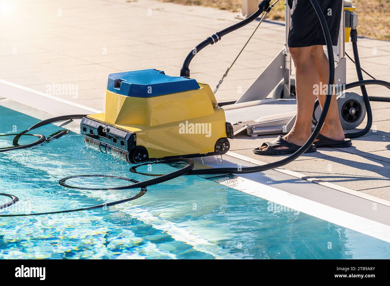 Automated pool cleaning robot being used by person at the edge of a ...