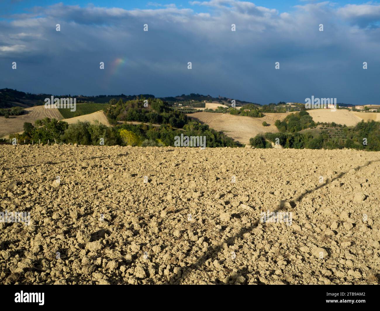 Scenic view of tilled soil with rolling hills, trees and a partial ...