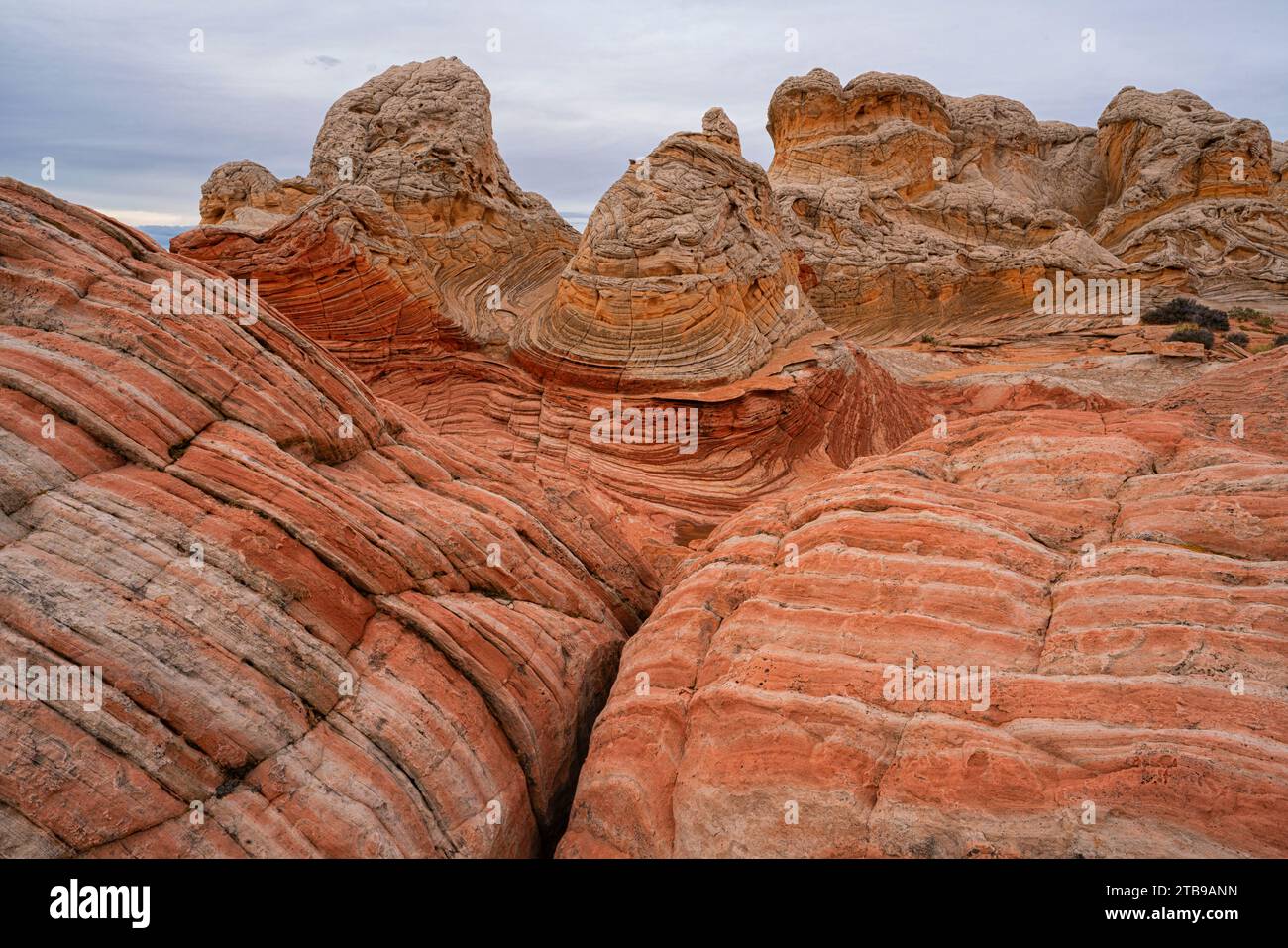 View of the eroded Navajo sandstone creating red rock formations that ...