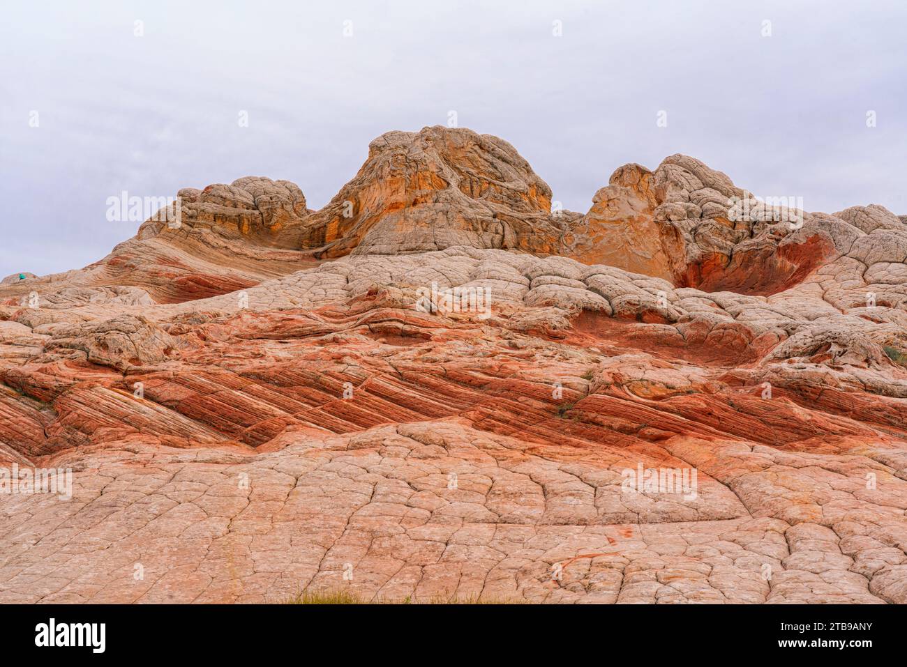 Vast, Navajo sandstone rock formations referred to as Brain Rocks under ...