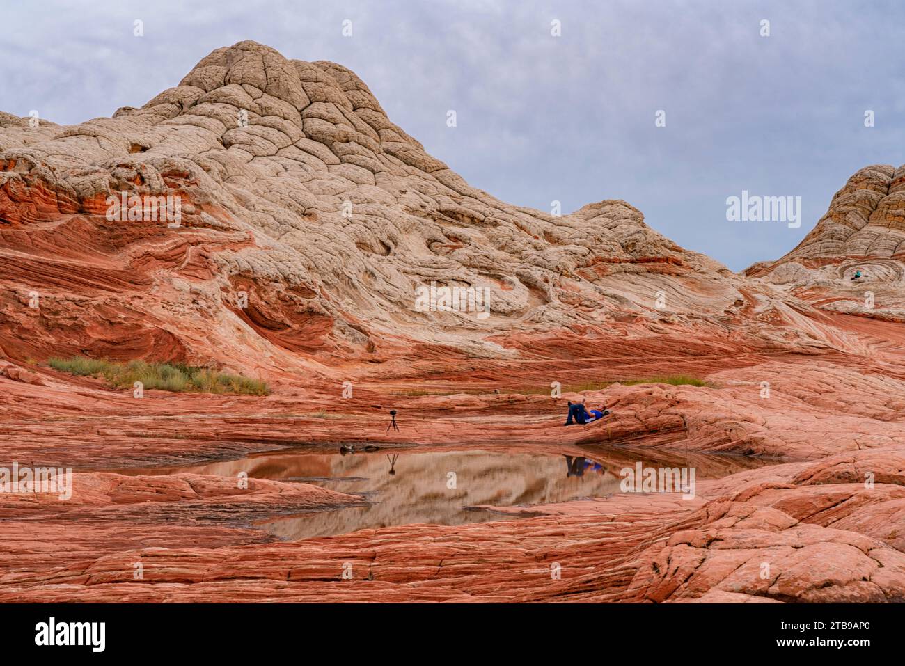 Brain rock hi-res stock photography and images - Alamy