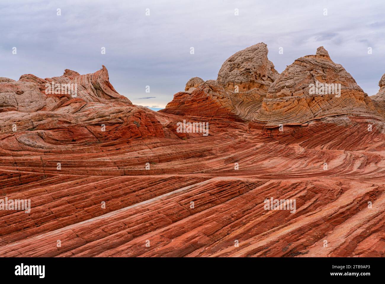 Forming mounds hi-res stock photography and images - Alamy