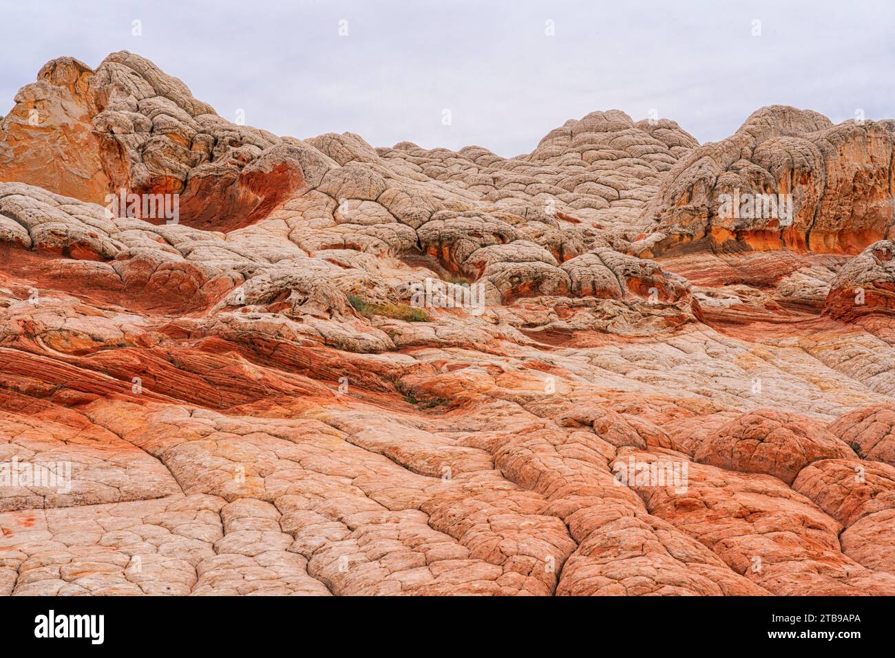 Vast, Navajo sandstone rock formations referred to as Brain Rocks under ...