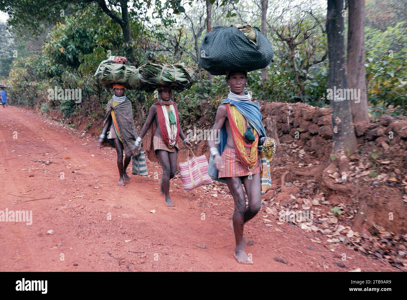Bondas tribal women going to the Ankudeli market. The Bonda, also known ...
