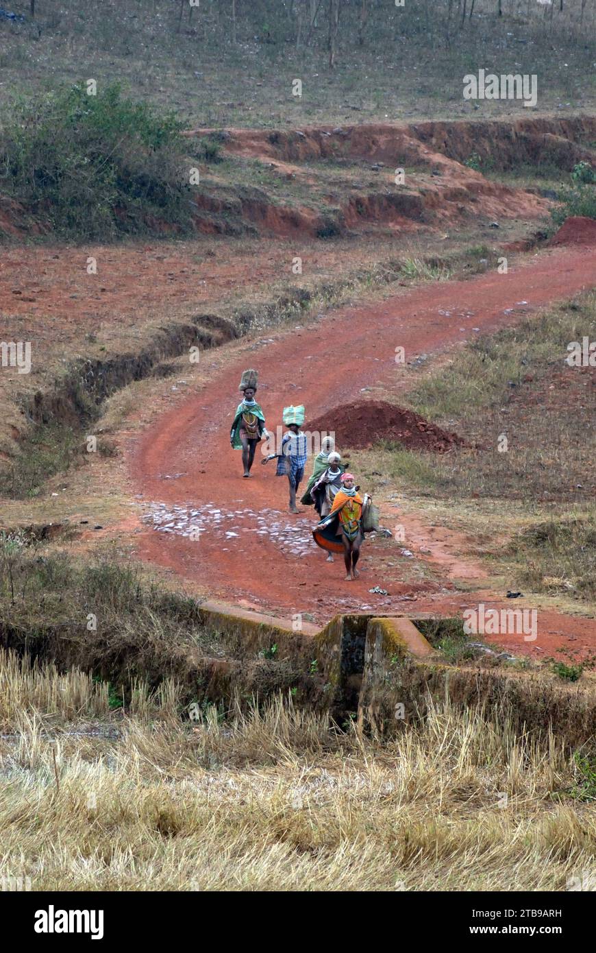 Bondas tribal women going to the Ankudeli market. The Bonda, also known ...