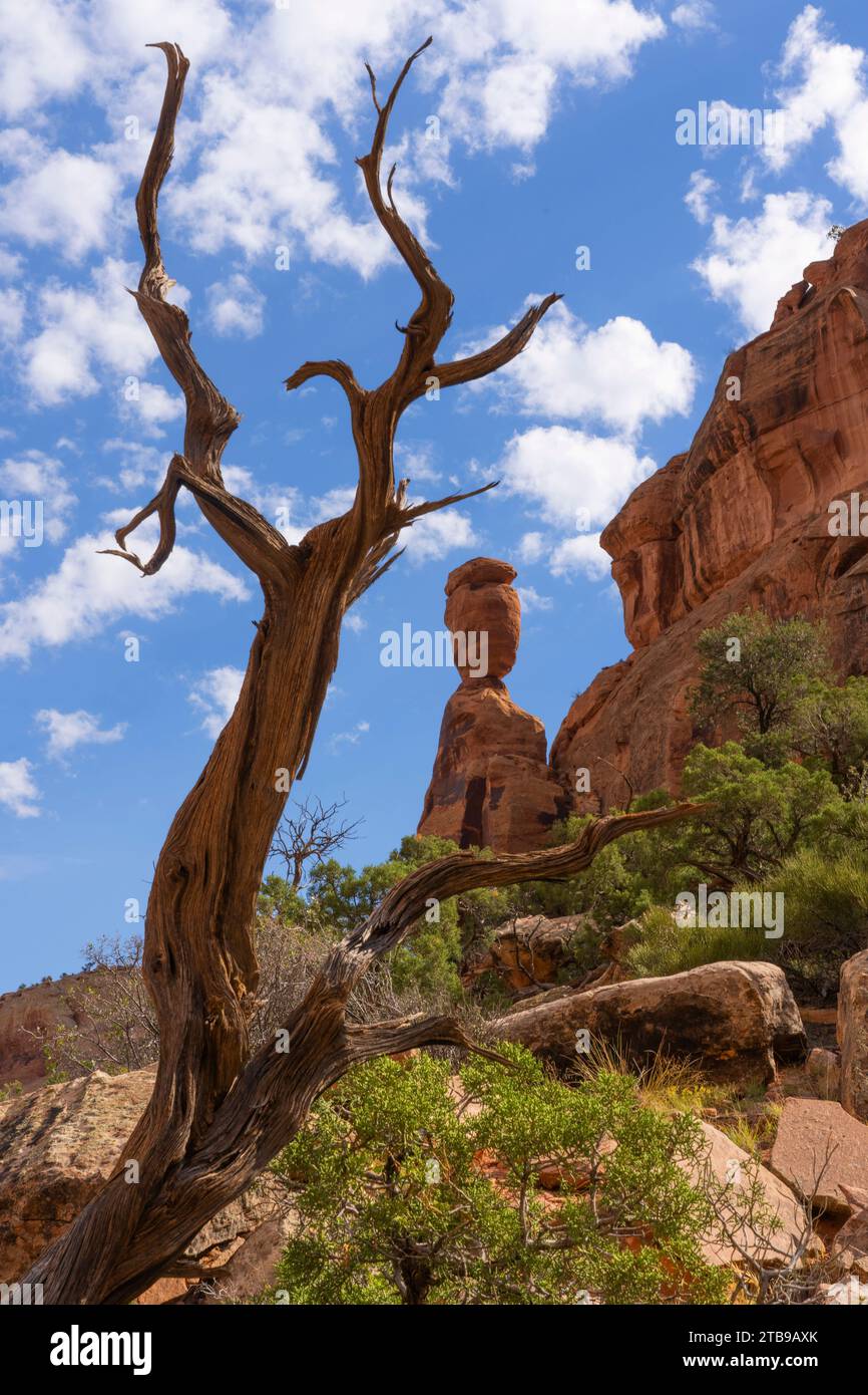 Landscape of Colorado National Monument near Grand Junction, Colorado ...