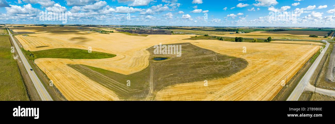 Aerial panorama of golden grain fields with blue sky and clouds ...