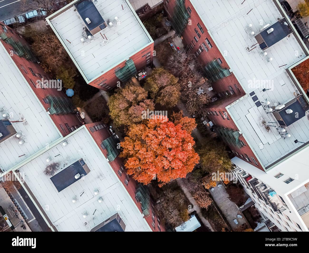 Top down view of the New York City buildings Stock Photo - Alamy