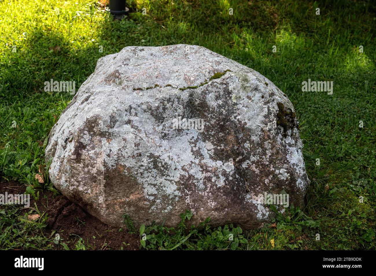 Large gray boulder, illuminated by sunlight, covered with moss lies in ...