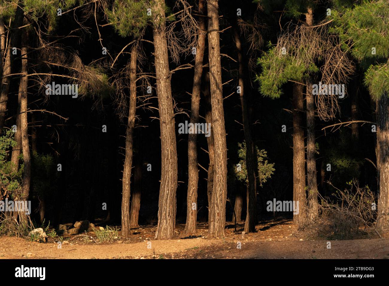 Big boulders and ecology hi-res stock photography and images - Alamy