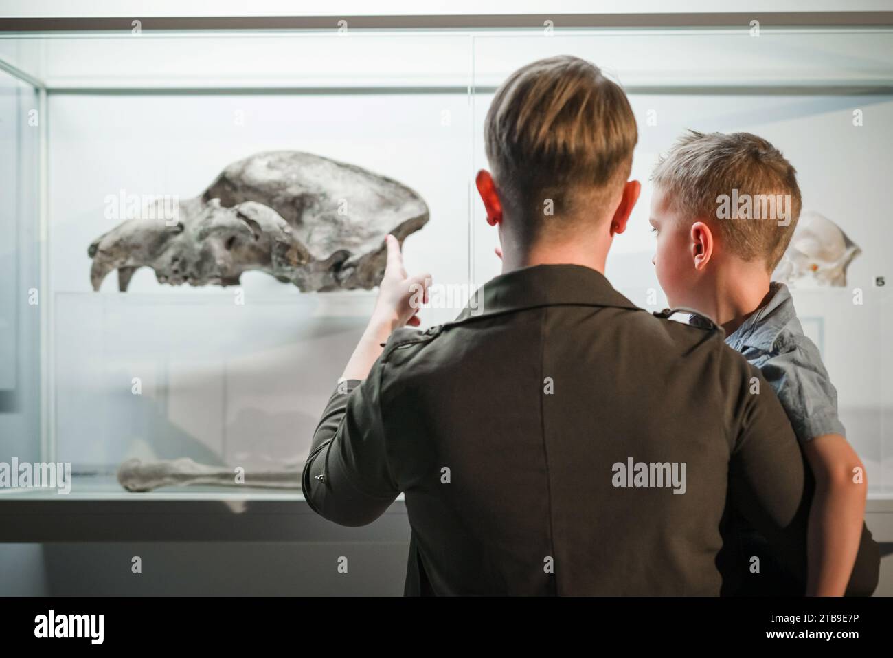 Skeleton in cabinet hi-res stock photography and images - Alamy