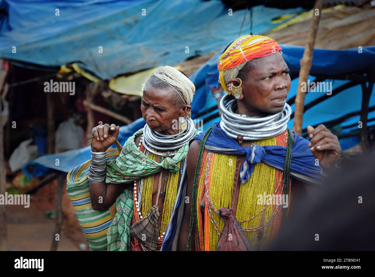 Bondas tribal women going to the Ankudeli market. The Bonda, also known ...