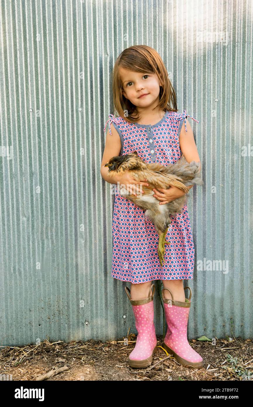 Portrait of a young girl holding a chicken; Lincoln, Nebraska, United ...