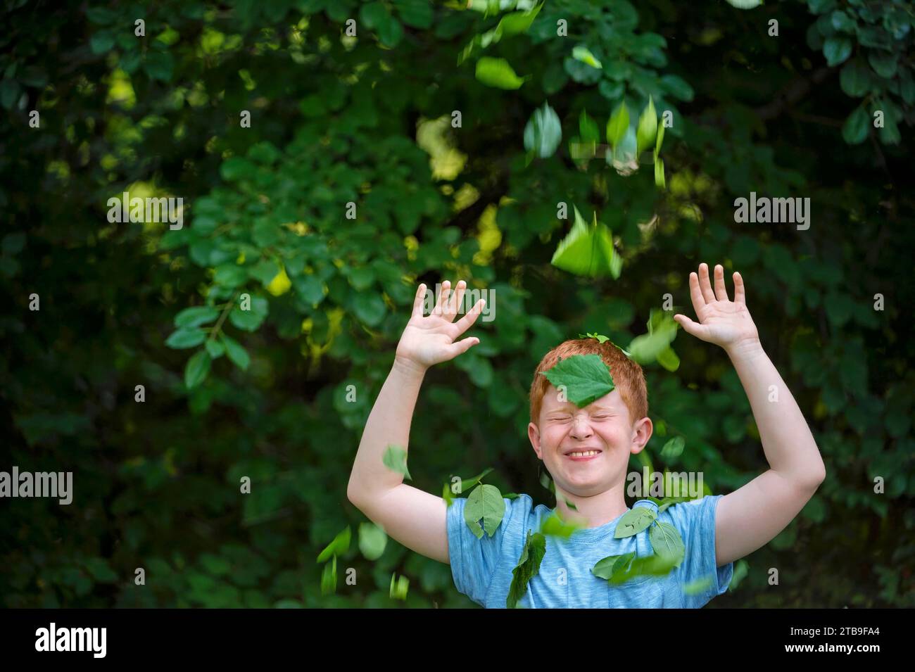 Leaves fall onto a young boy; Lincoln, Nebraska, United States of ...