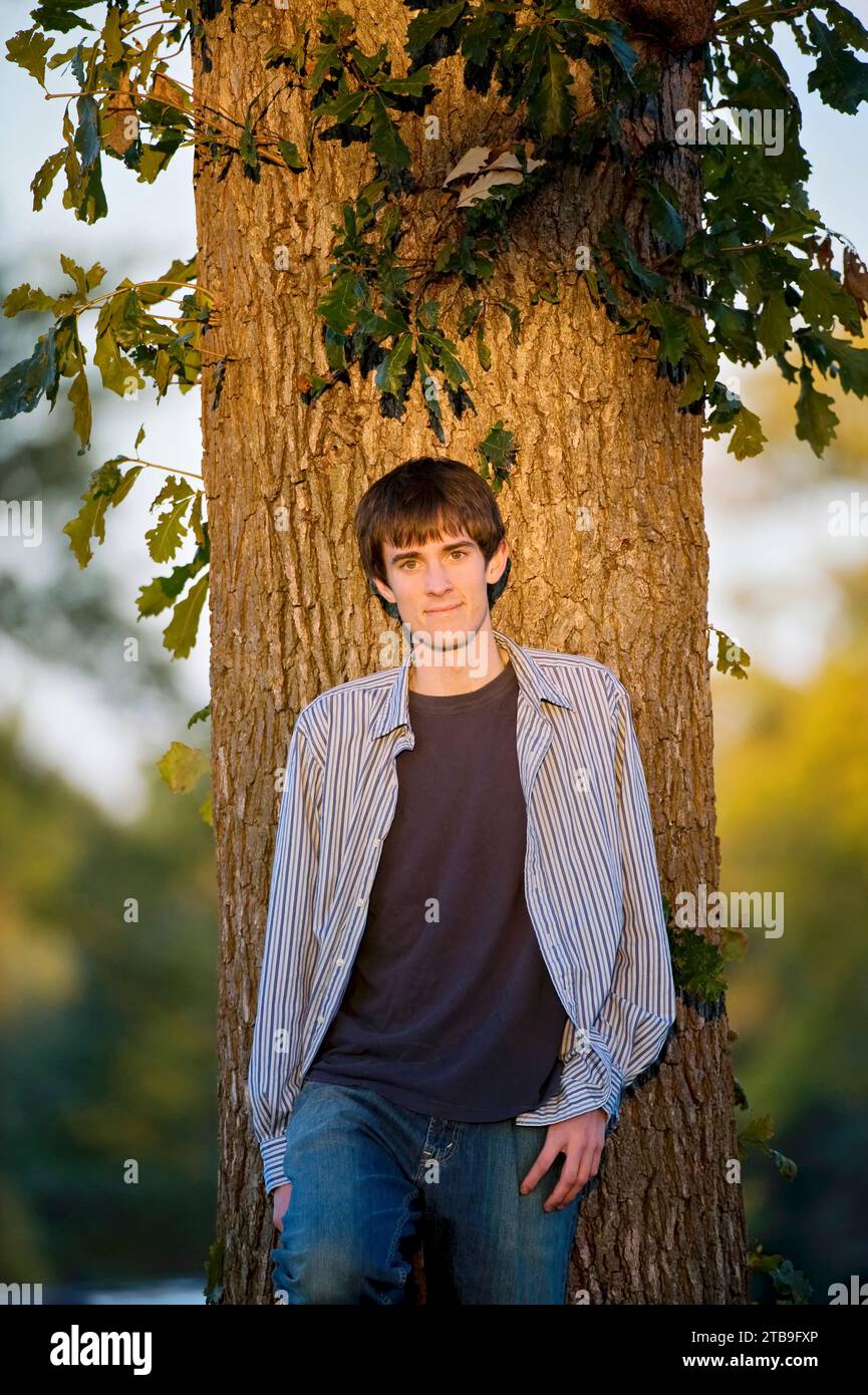 Tree trunk brown hi-res stock photography and images - Alamy