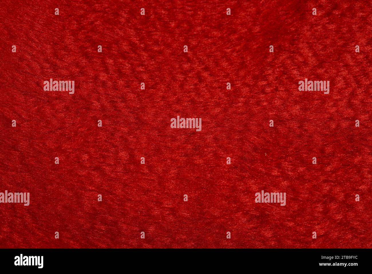 The world of textiles, natural and synthetic materials, wool, cotton ...