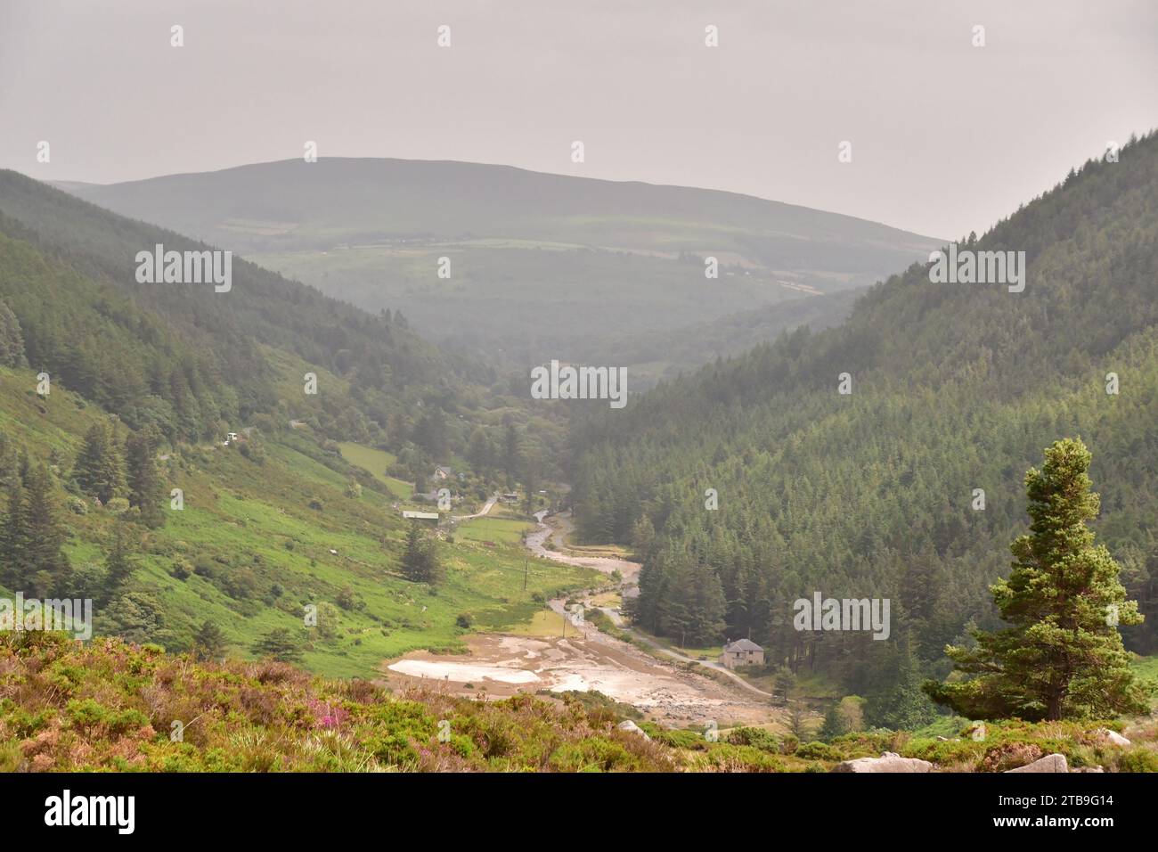 Beautiful landscape in wicklow mountains hi-res stock photography and ...