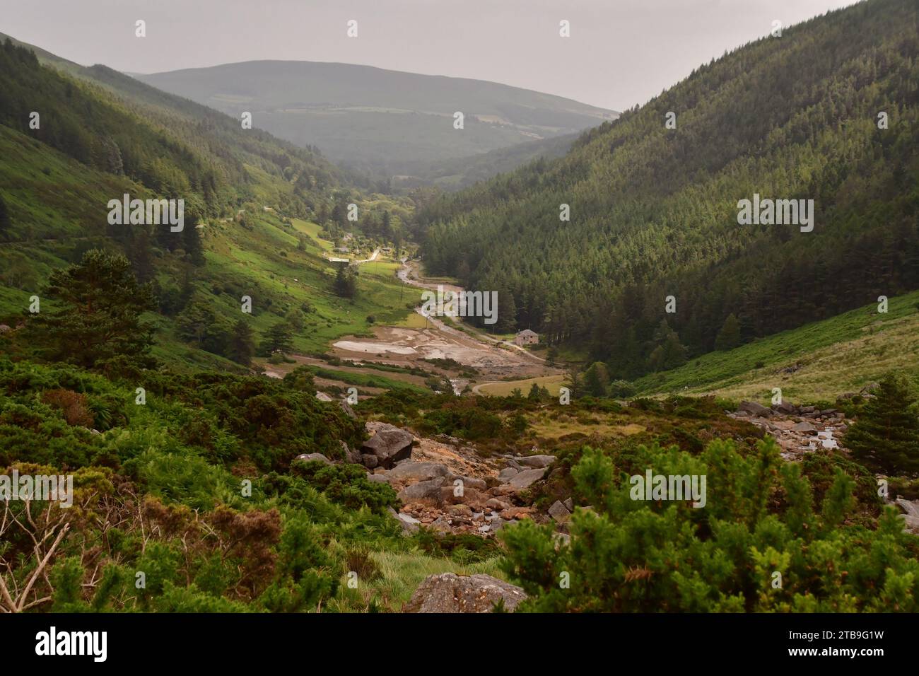 River in the valley of a Wicklow Mountains, Ireland Stock Photo - Alamy