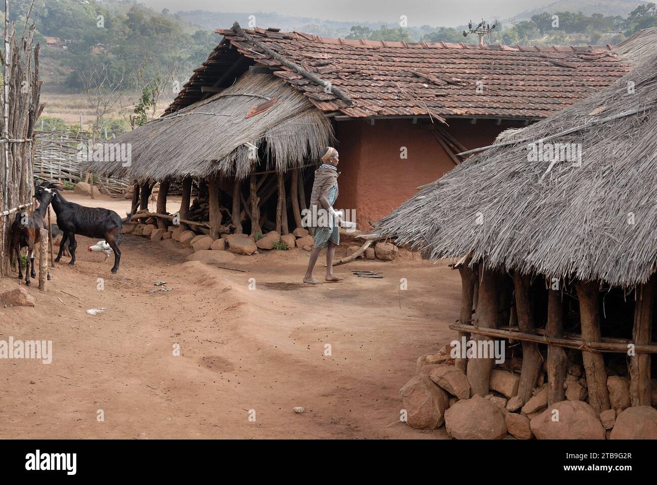 Bonda village at the jaypore hills. The Bonda, also known as Remo, are ...