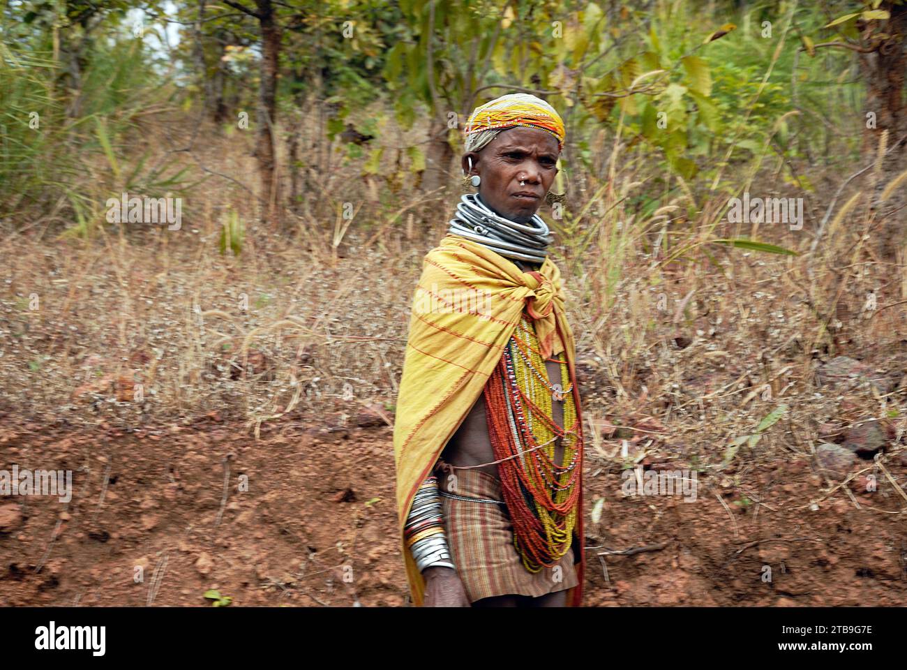 Tribal portrait. The Bonda, also known as Remo, are a Munda ethnic ...