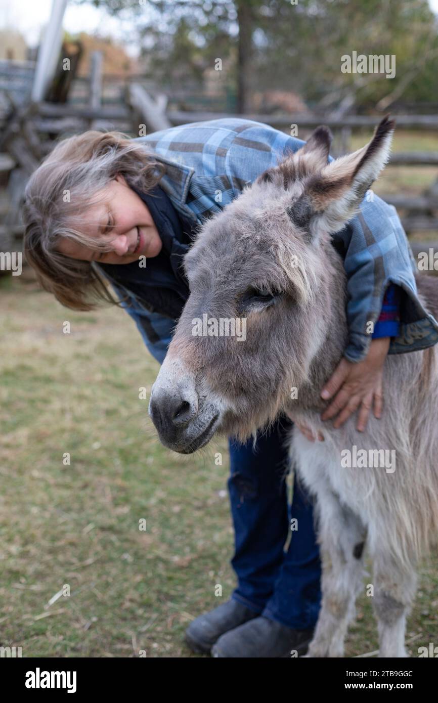 Woman farmer hugging with donkey (Equus asinus) on her farm, Kara's ...