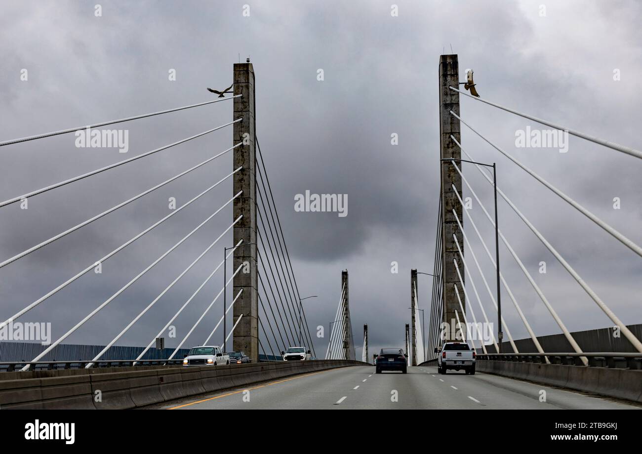 Cars driving across the Golden Ears Bridge on a grey, cloudy day; Pitt ...