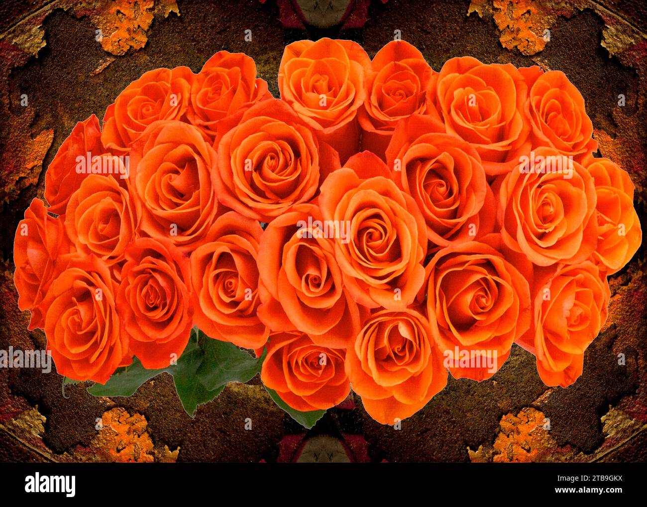 Photographic backgrounds hi-res stock photography and images - Alamy