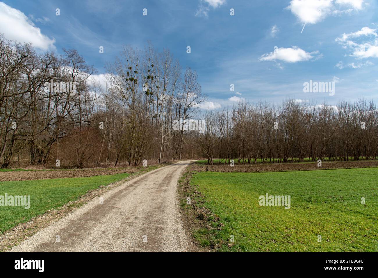 Rural landscape in Prekmurje, Slovenia, Europe stock photo Stock Photo ...