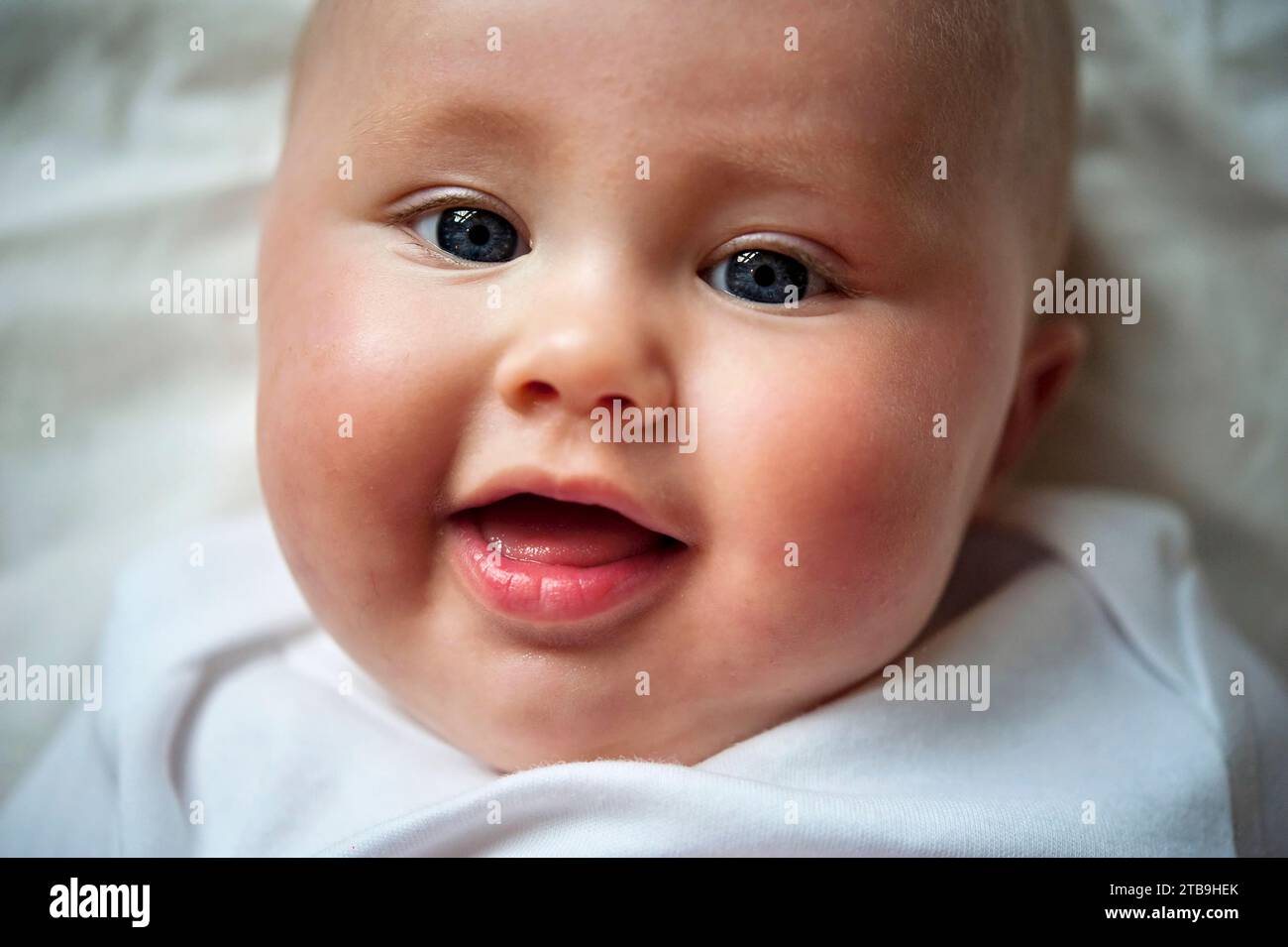 Close up portrait of a happy 6-month old baby girl; Lincoln, Nebraska ...