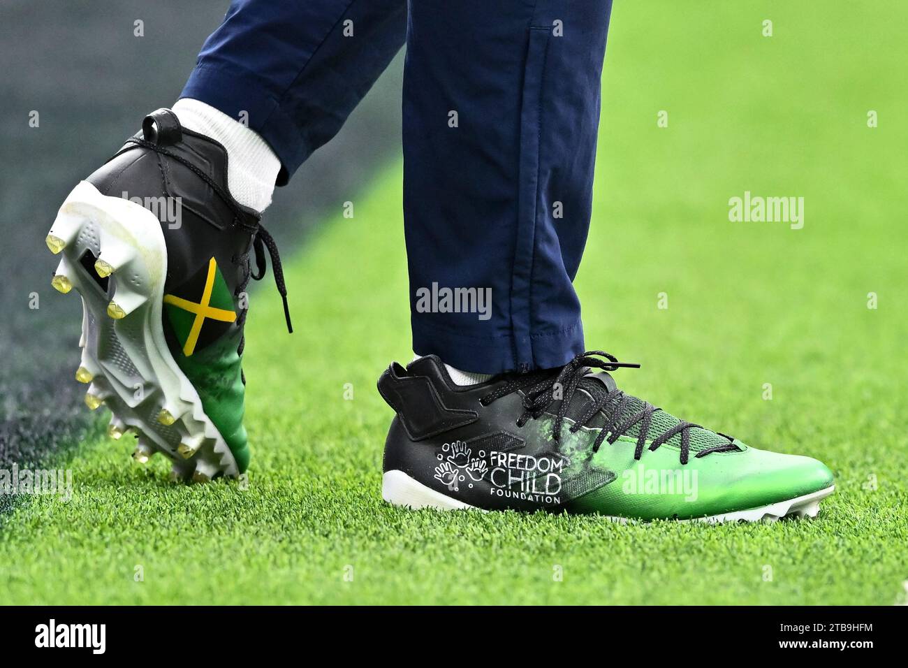 A detailed view of Houston Texans linebacker Neville Hewitt cleats ...