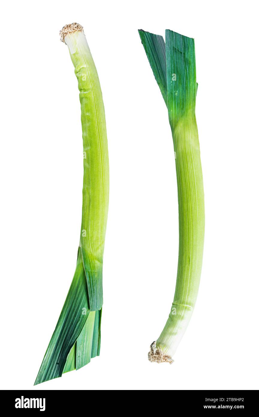 Raw Green Organic Leeks Ready to cooking. Isolated, white background ...