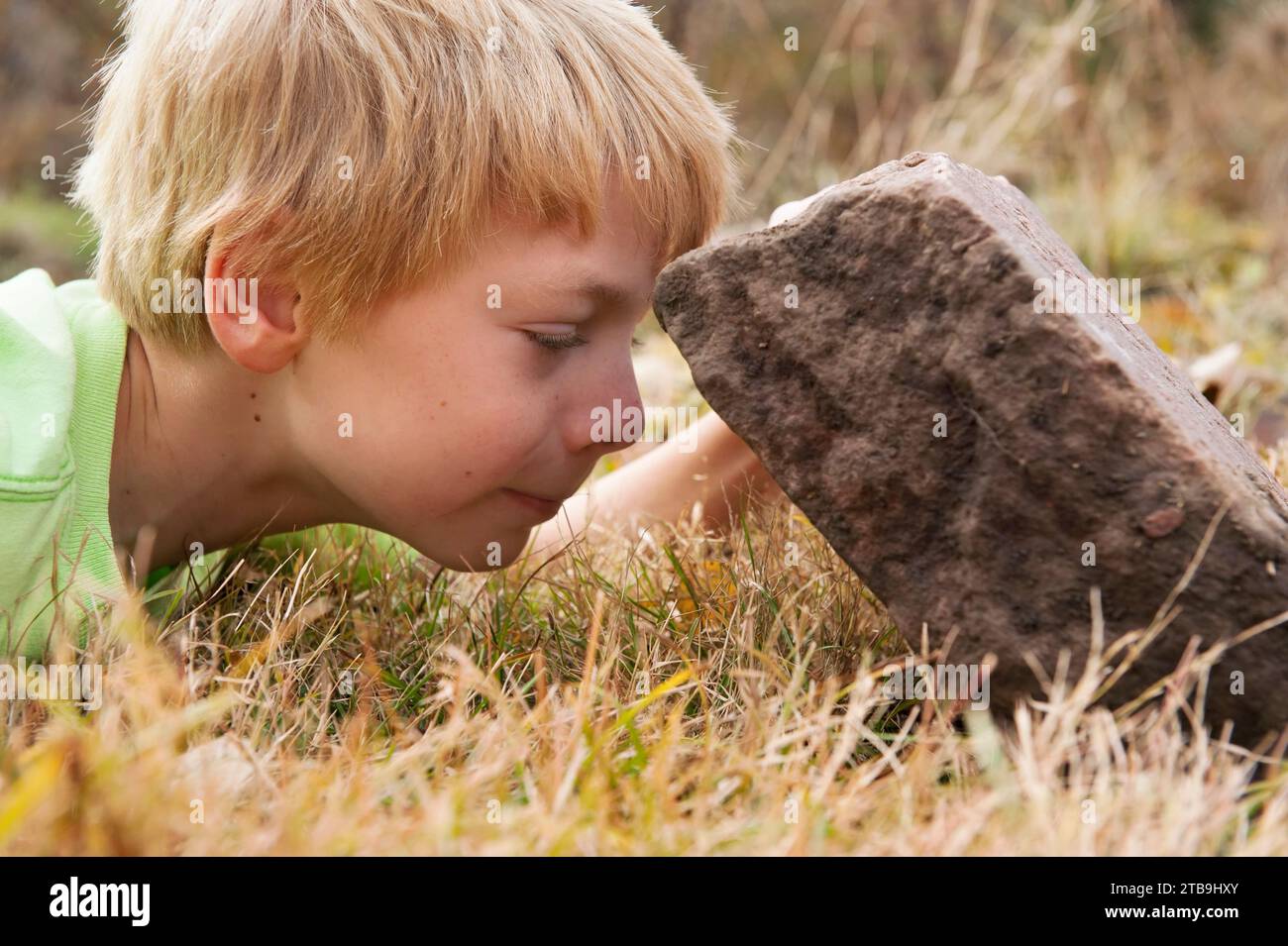 Young boy looking at bugs hi-res stock photography and images - Alamy