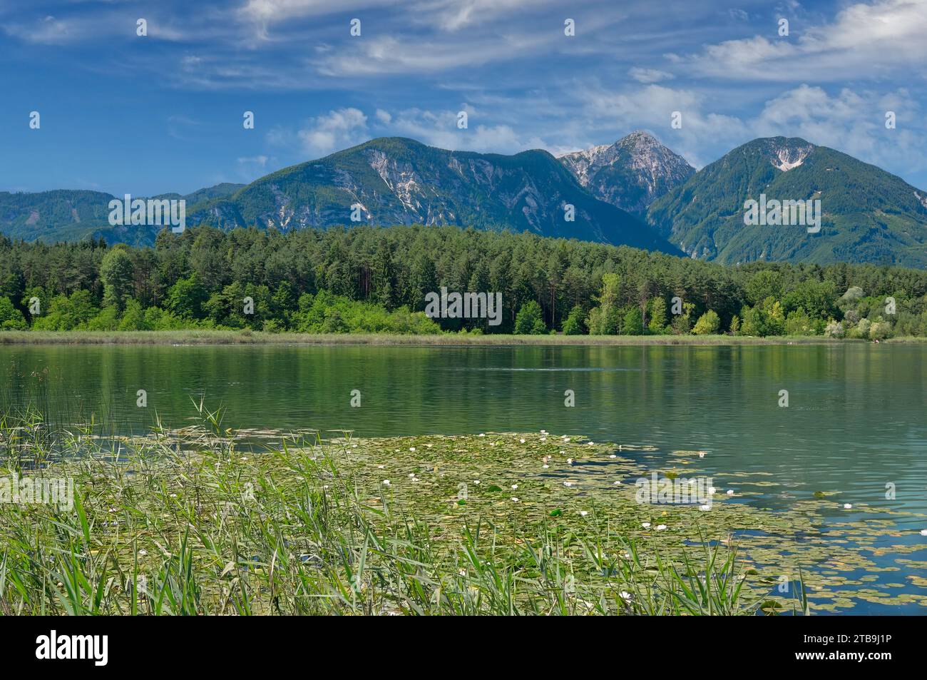 Turnersee hi-res stock photography and images - Alamy