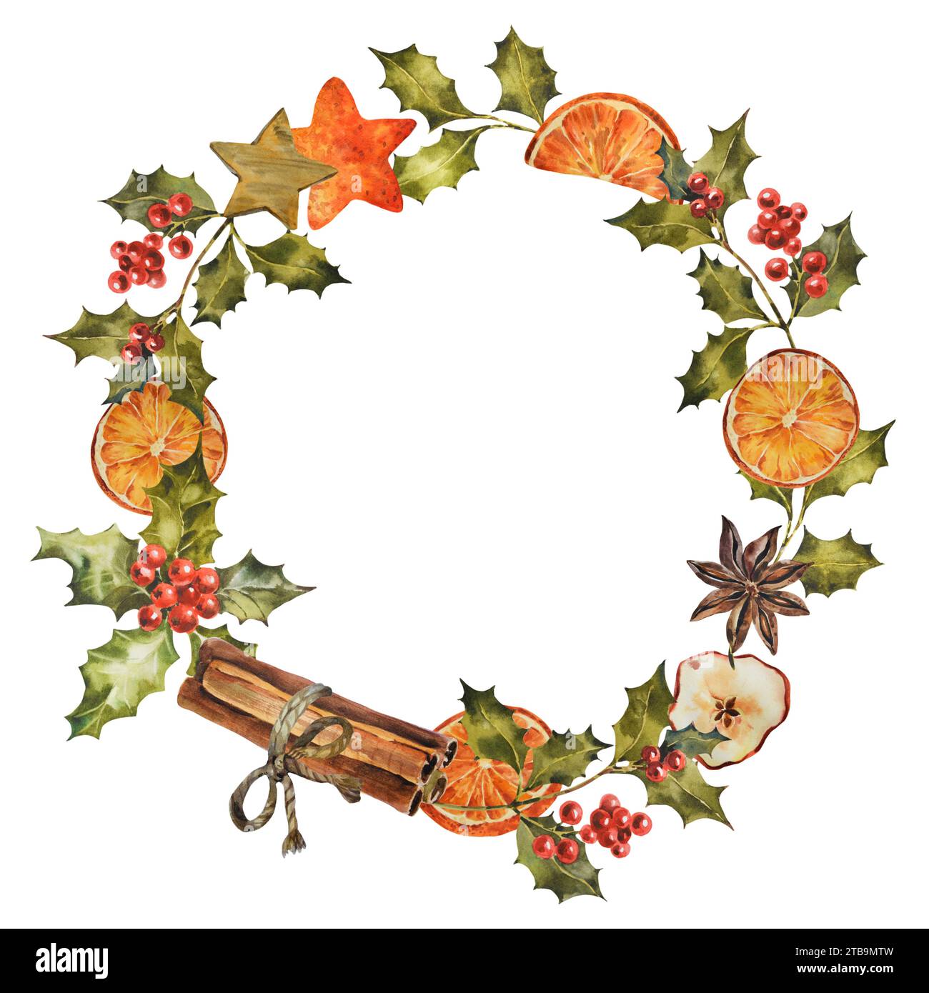 Wreath with holly branches, dry orange, spices. Hand drawn watercolor ...