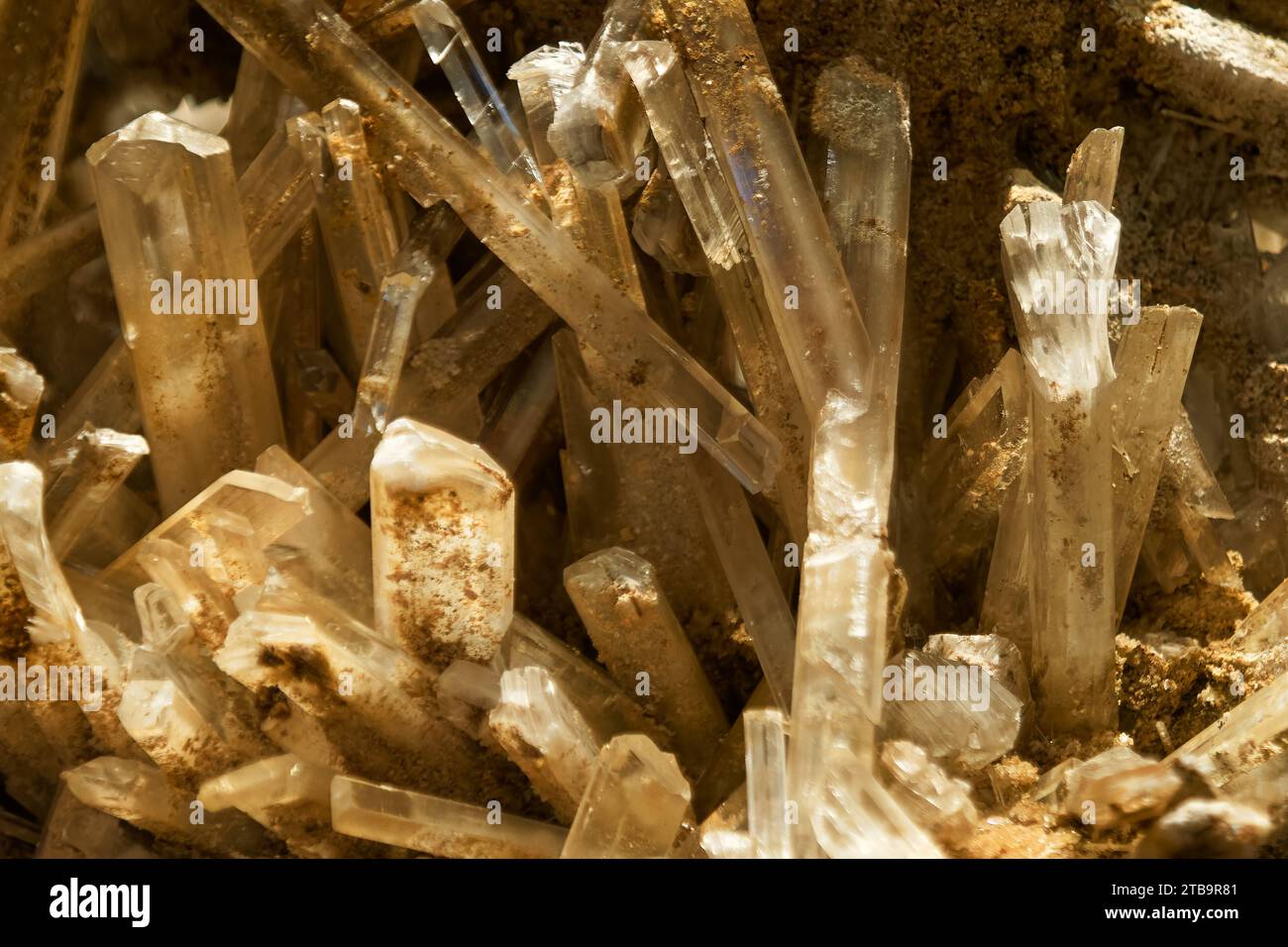 beautiful mineral fossil background crystals mineralogy ornamental ...