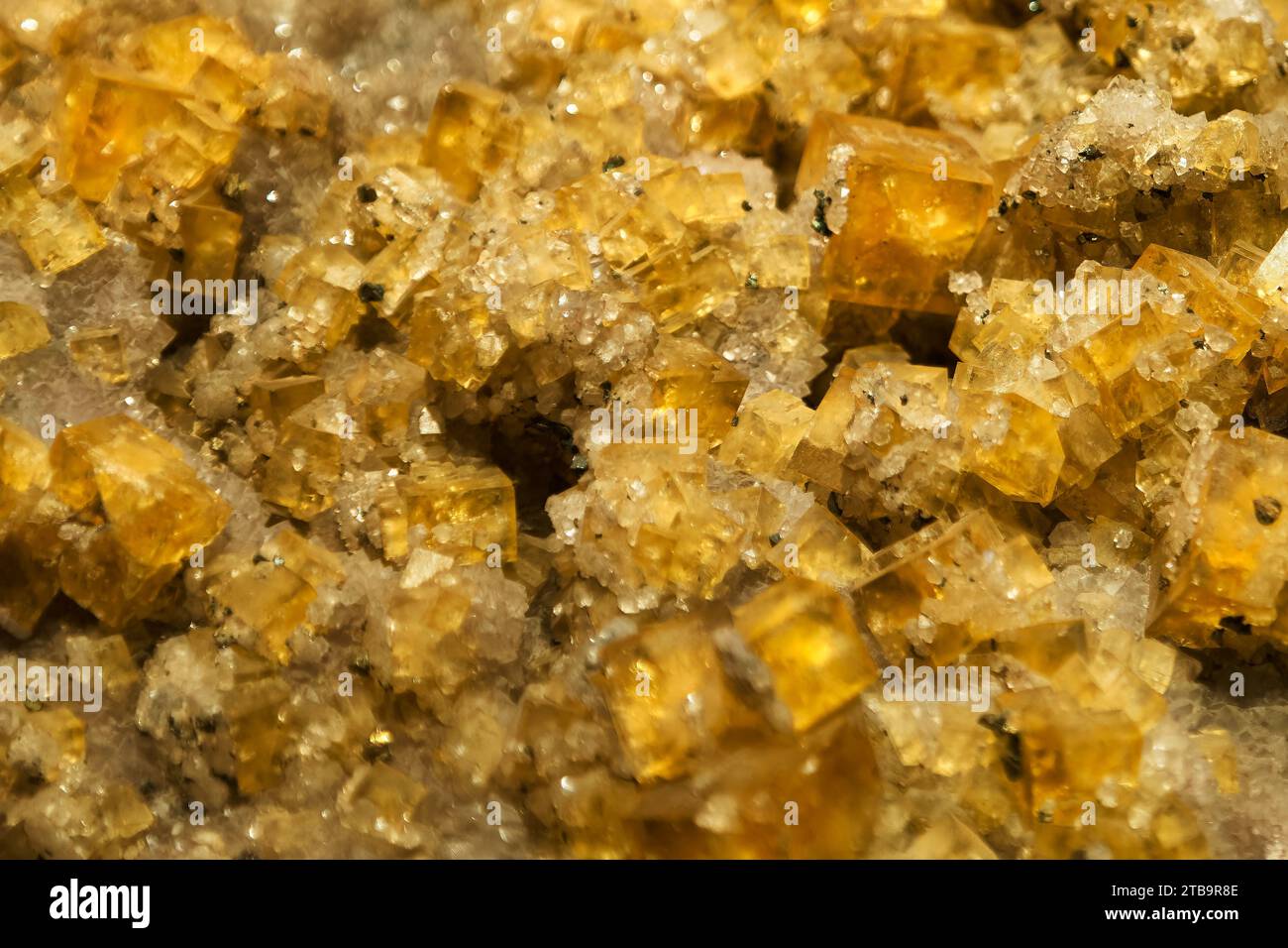 beautiful mineral fossil background crystals mineralogy ornamental ...