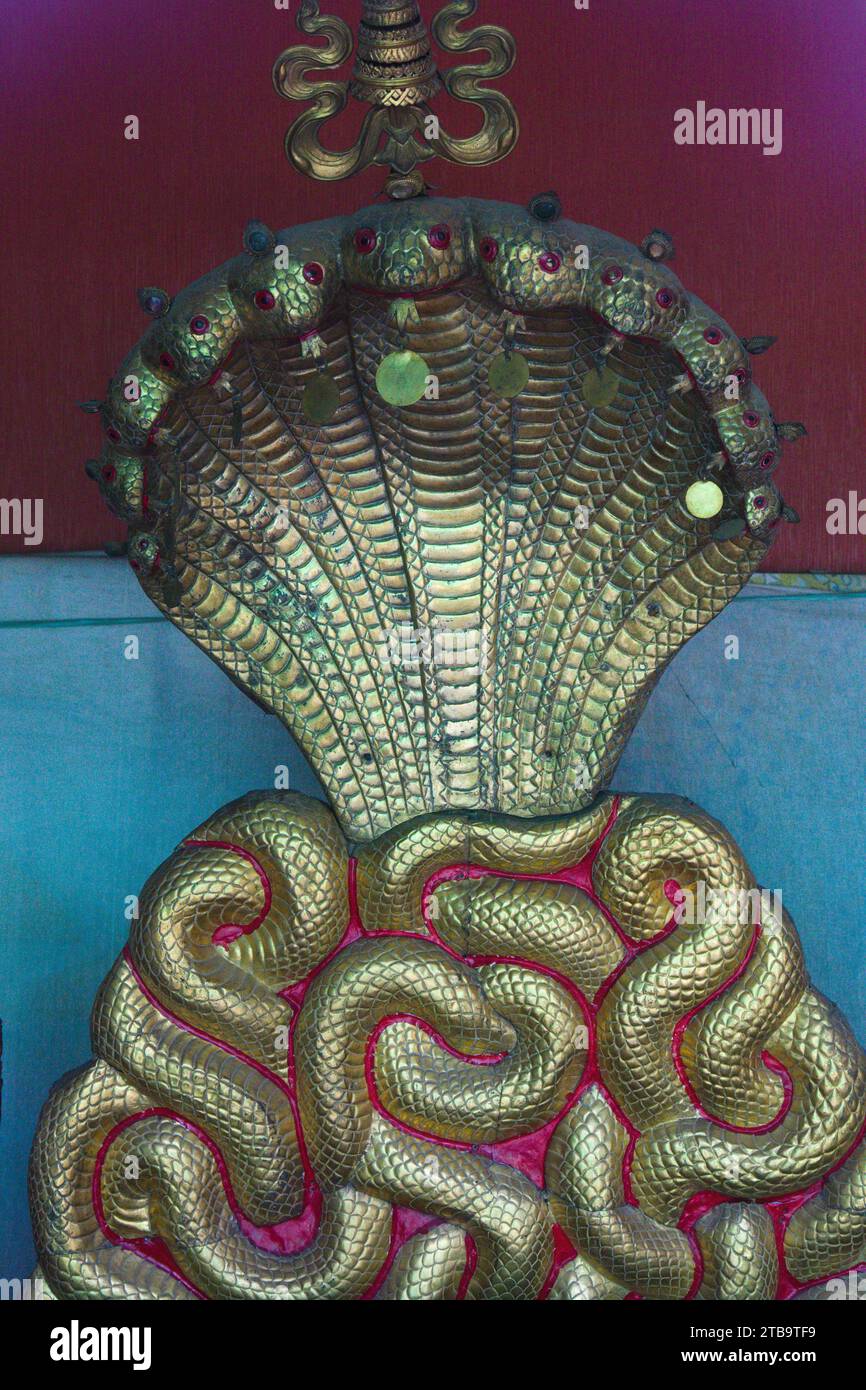 Nepal, Kathmandu, Hanuman Dhoka Palace, throne Stock Photo - Alamy