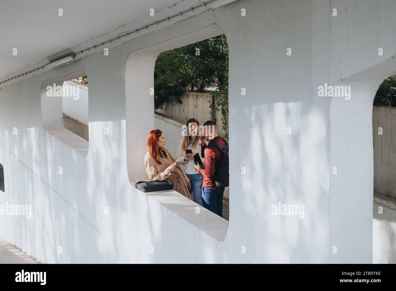 Business People Discussing and Brainstorming Ideas for Successful Start ...