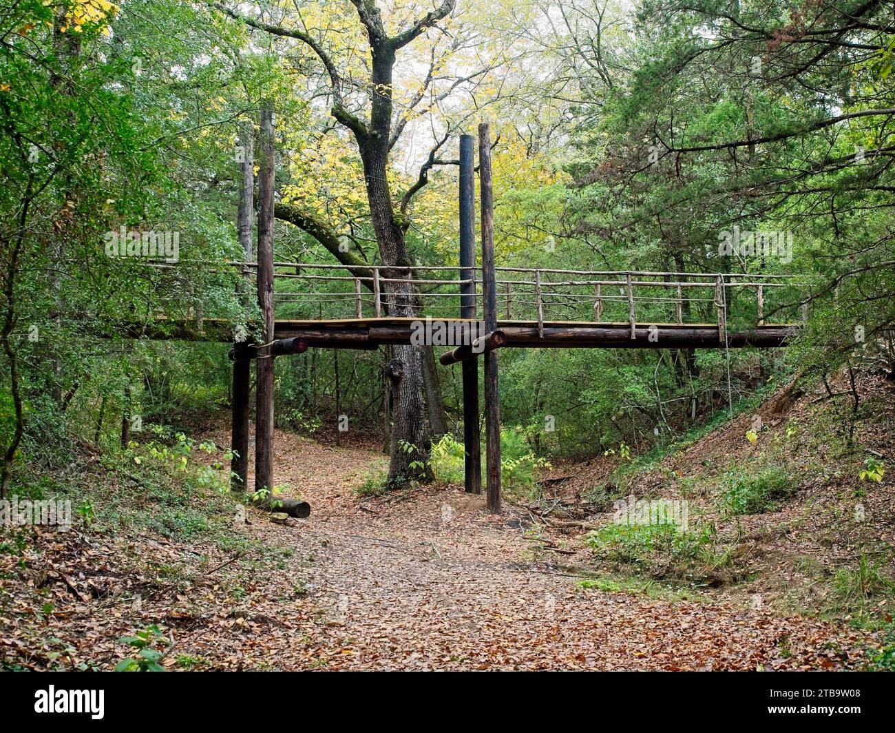Old stream bed hi-res stock photography and images - Alamy