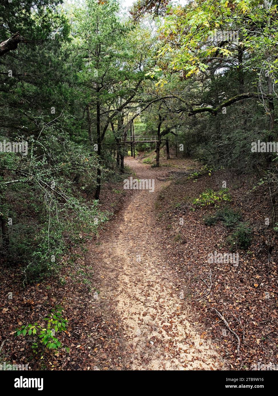 Wood bridge stream current hi-res stock photography and images - Alamy