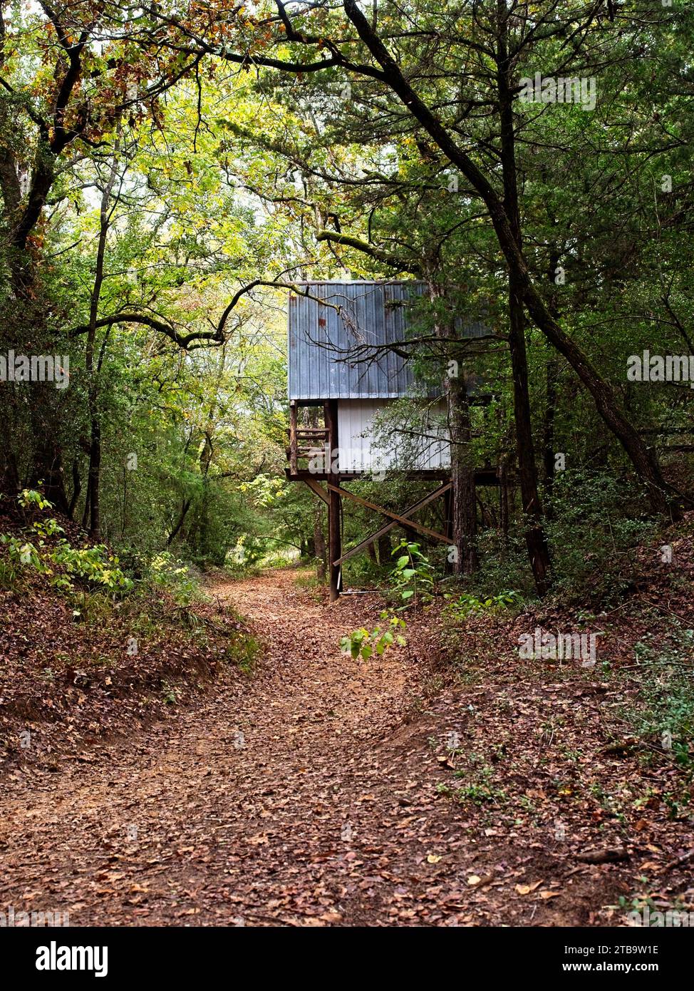 Small Cabin in the woods above a dry stream bed Stock Photo - Alamy