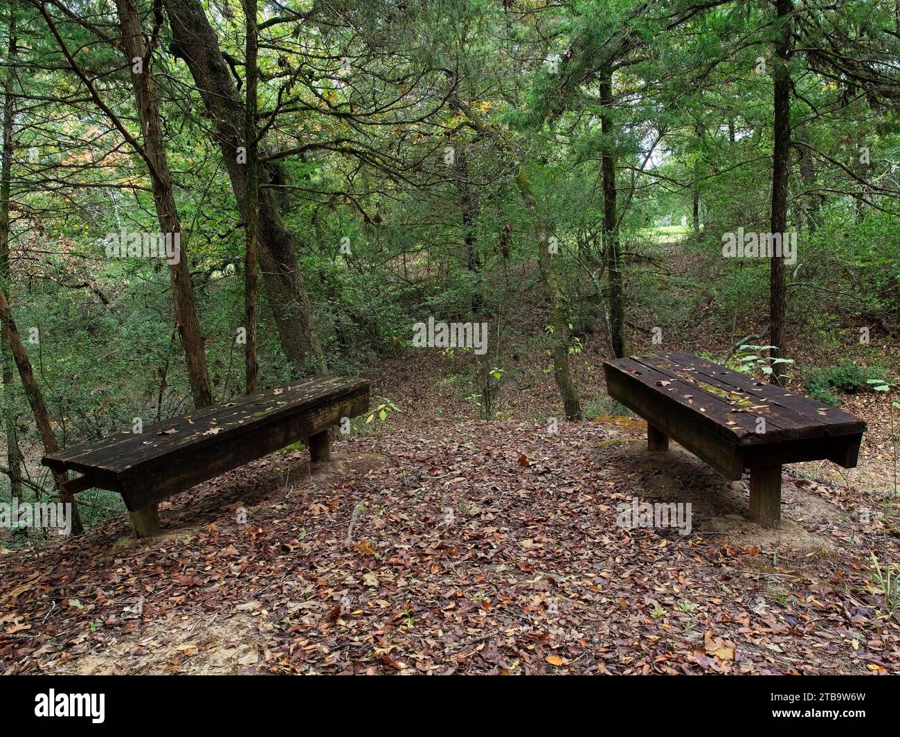 Benches in the woods hi-res stock photography and images - Alamy