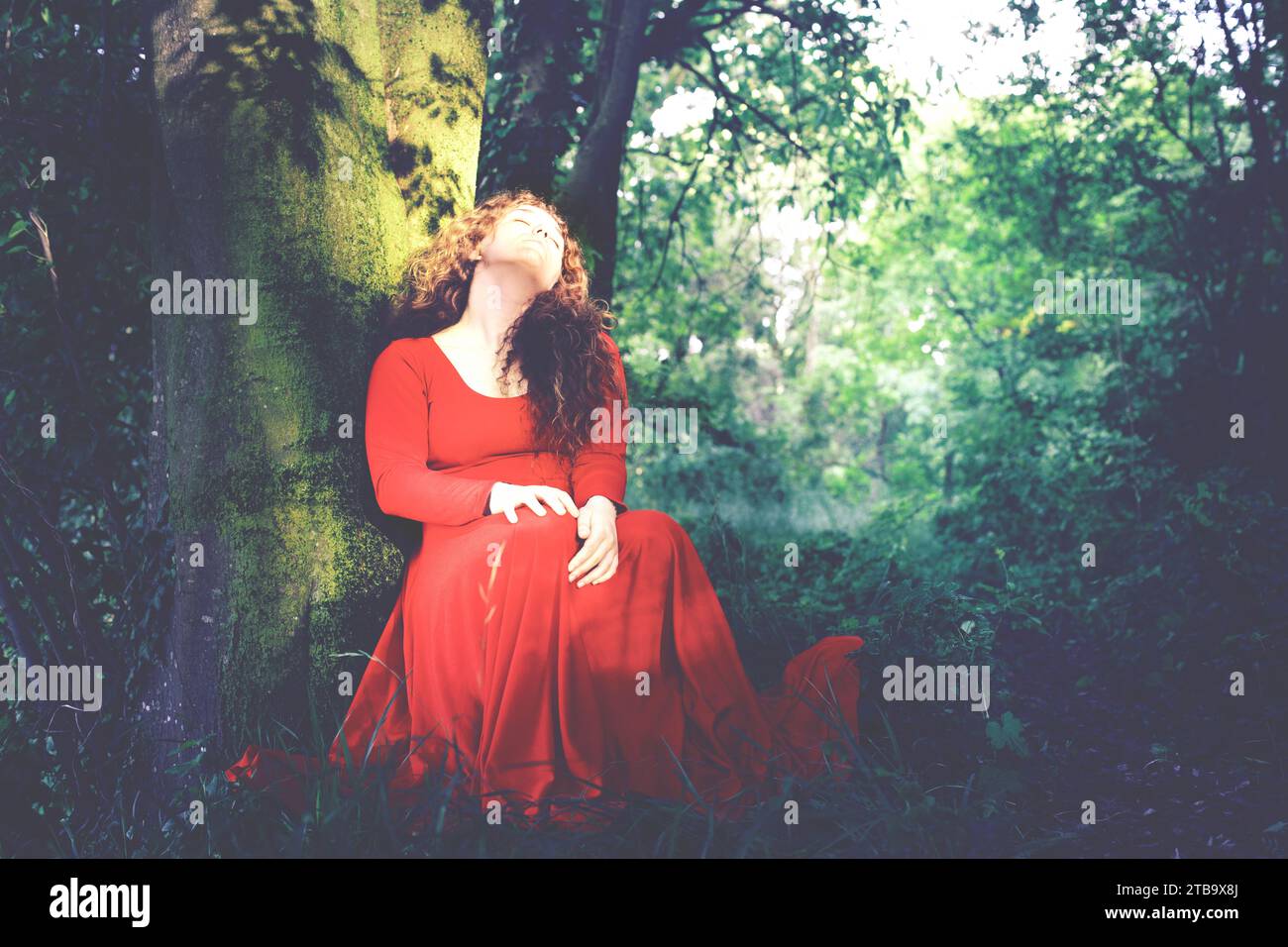 lady with red dress falls asleep angelically leaning against a tree in ...